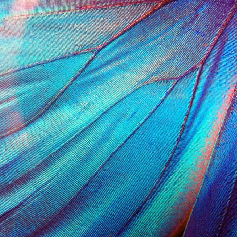 A Complete Guide to QROPS for UK Expats