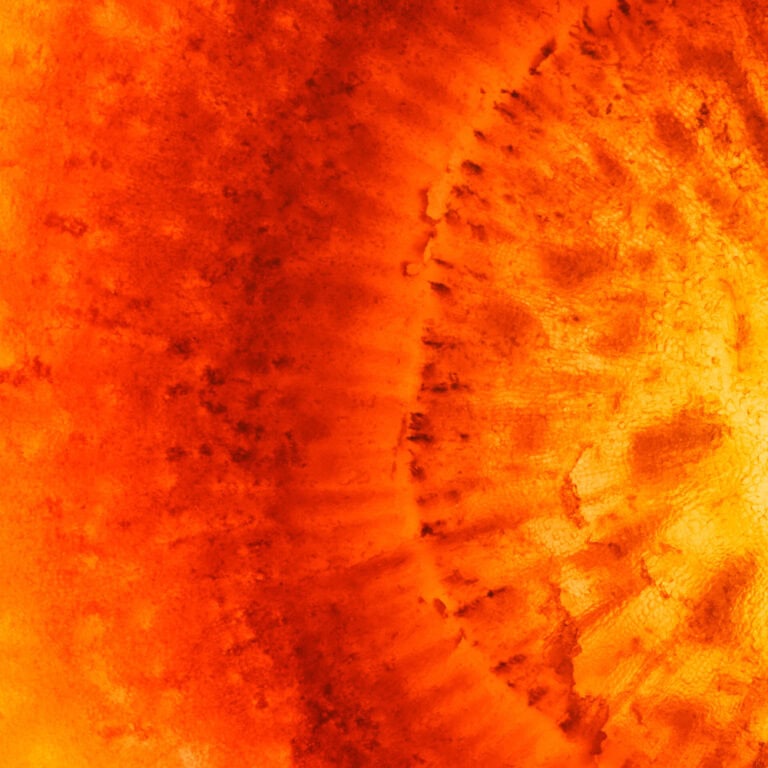 Offshore Bonds Explained: A Guide For Tax-Savvy Investors